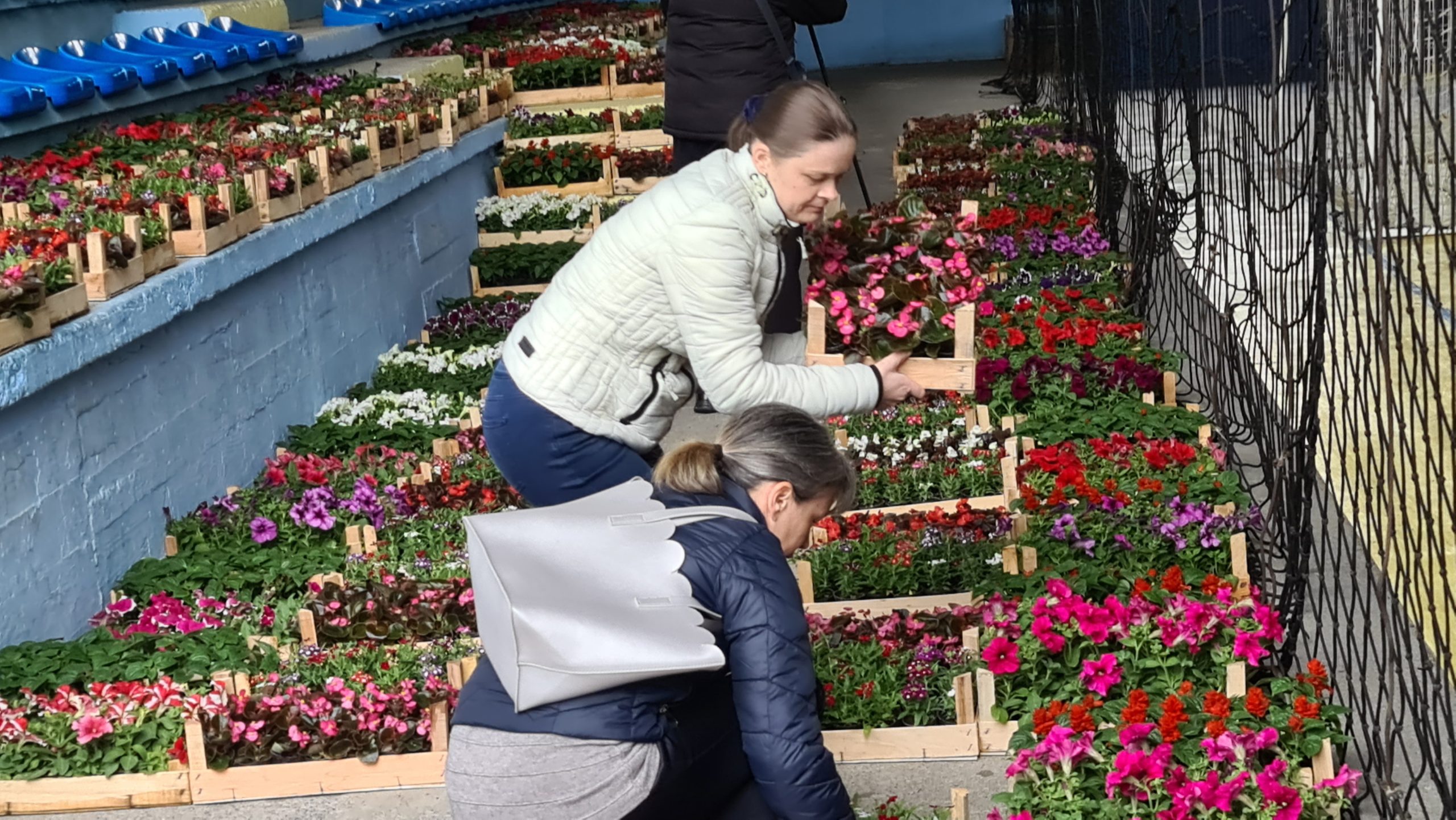 Doboj: Grad obezbijedio 7.280 sadnica - Nacelnik