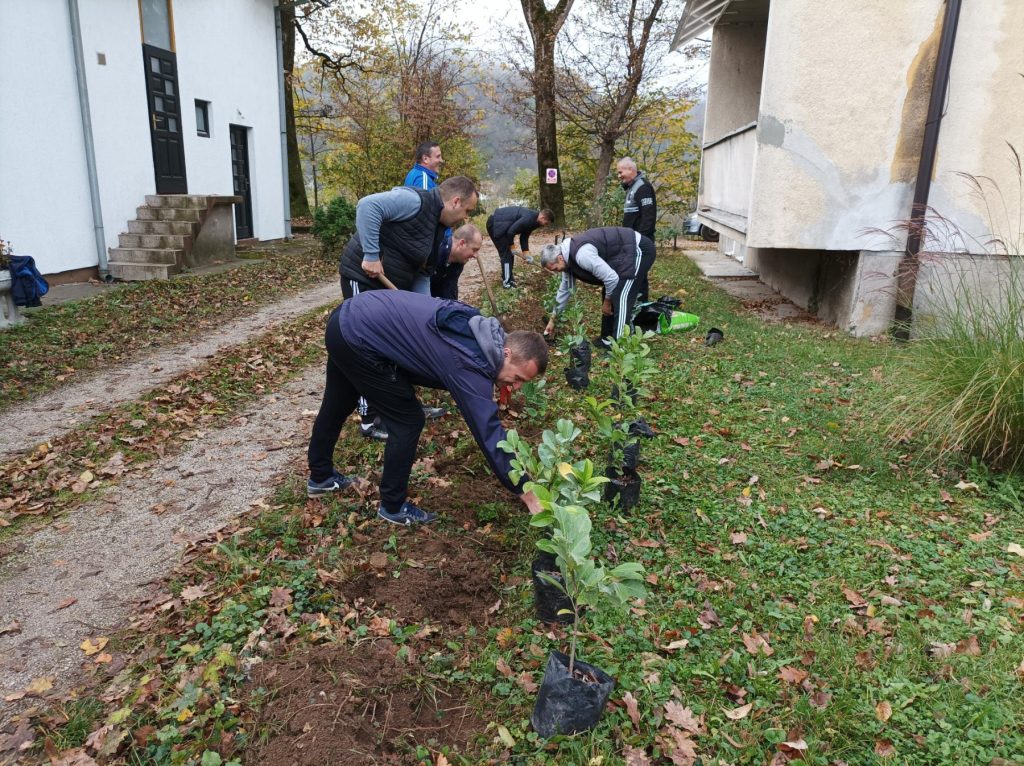 Kotor Varoš: Sadnice platana ukrasile šetalište na rijeci Vrbanji ...